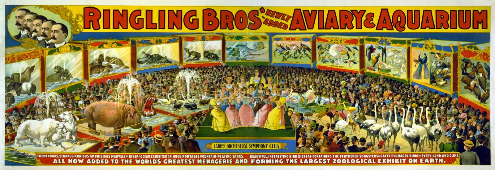 A Circus in the Making: A Brief History of Ringling Brothers and Barnum ...