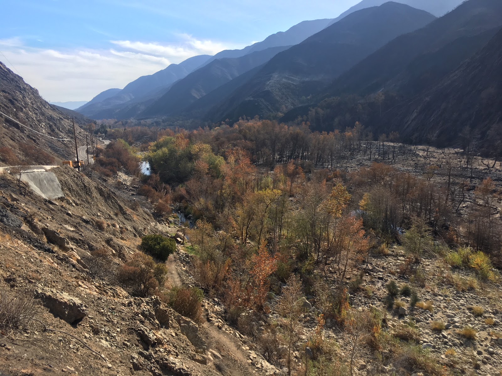 Ventura River Ecosystem: Matilija Canyon, before and after the flood