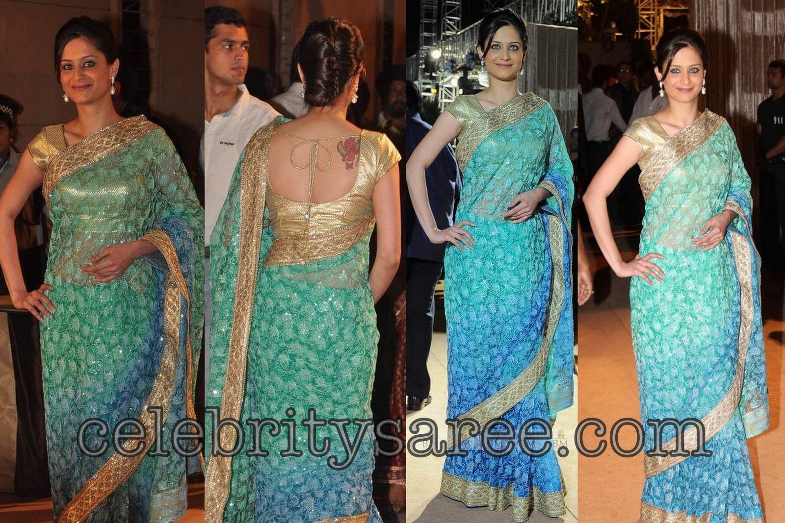 Sky Blue Sari with Back Neck Blouse - Saree Blouse Patterns