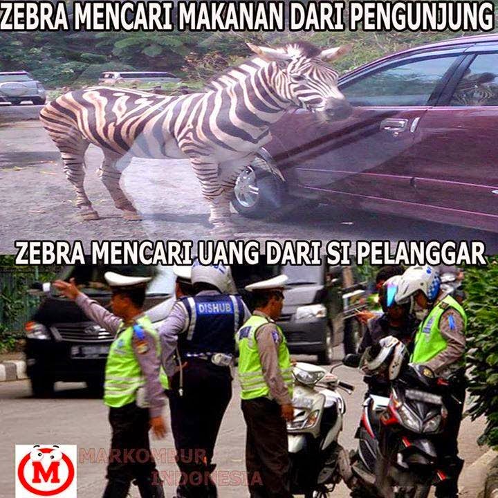 Koleksi Gambar Meme Foto Lucu Unik Operasi Zebra dan Razia Polisi (2 ...