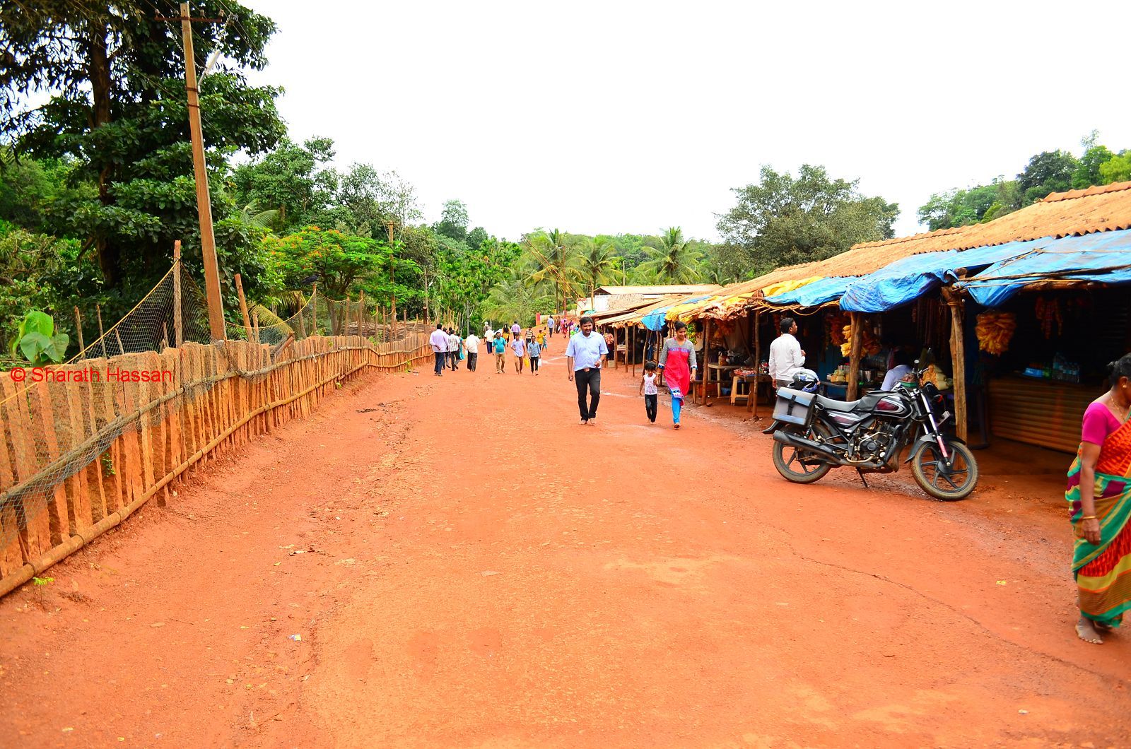 Sharath Hassan A Travelling Photographer: Sigandur back water and ...