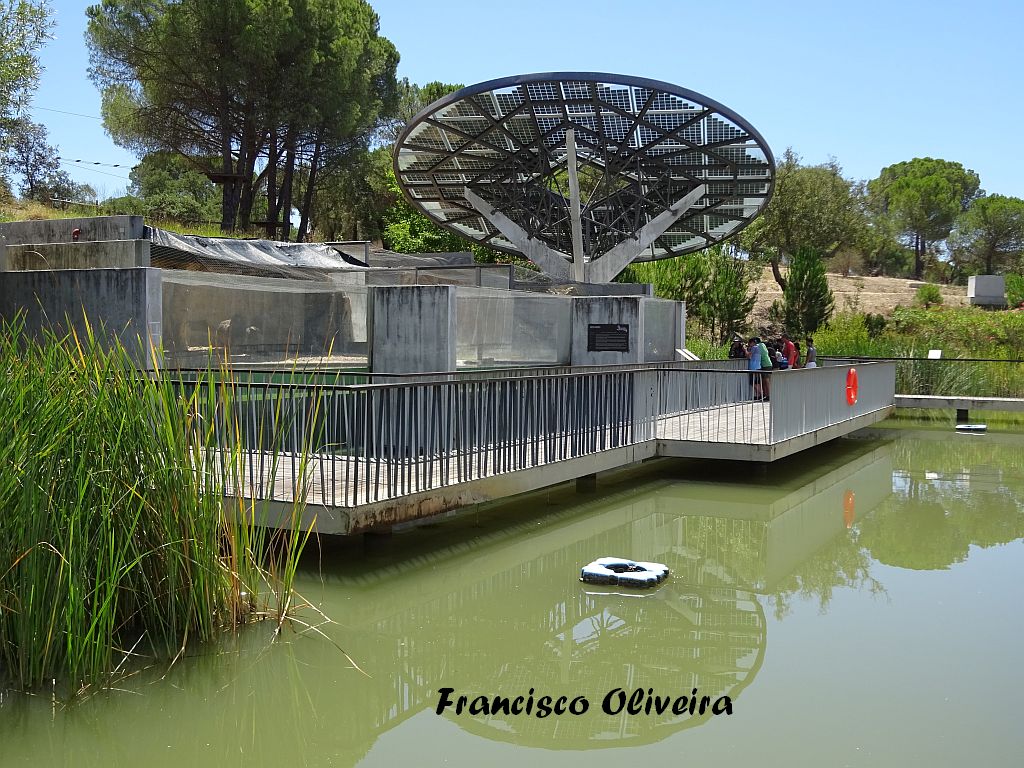 Andarilhar: Fluviário de Mora - III