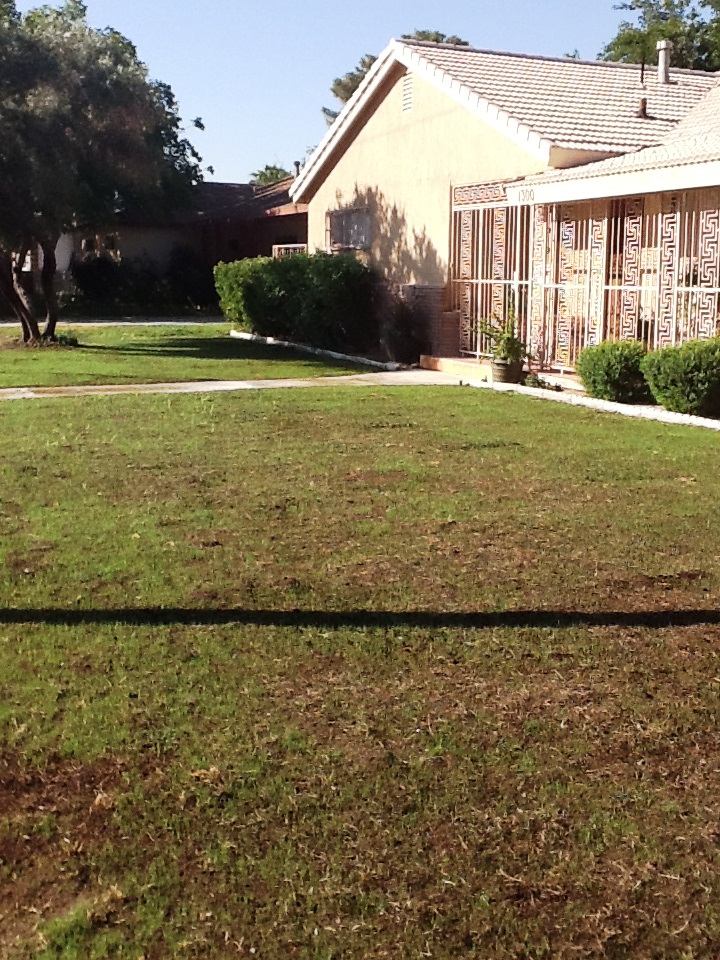 Xtremehorticulture of the Desert: How Do I Fill in Bare Spots in my ...