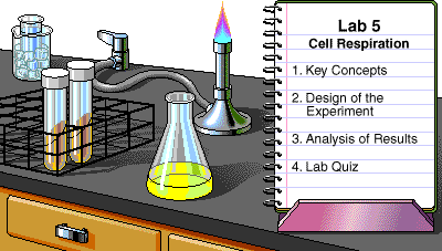 NIOS Practical File Laboratory Manual 10th & 12th @8527203757: Project ...