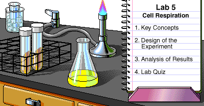 NIOS Practical File Laboratory Manual 10th & 12th @8527203757: Project ...