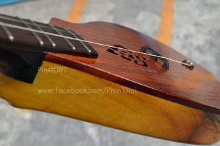 World Music Instrumental: Phin [Ethnic Guitar of Thailand]