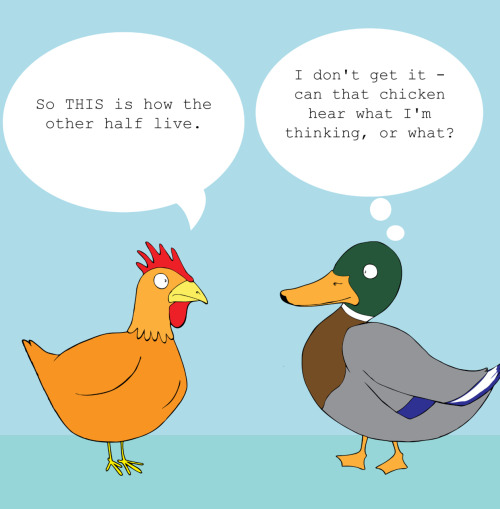 At Home With Eunique Girl: "Cluck, cluck!" "Quack, quack!" in Church