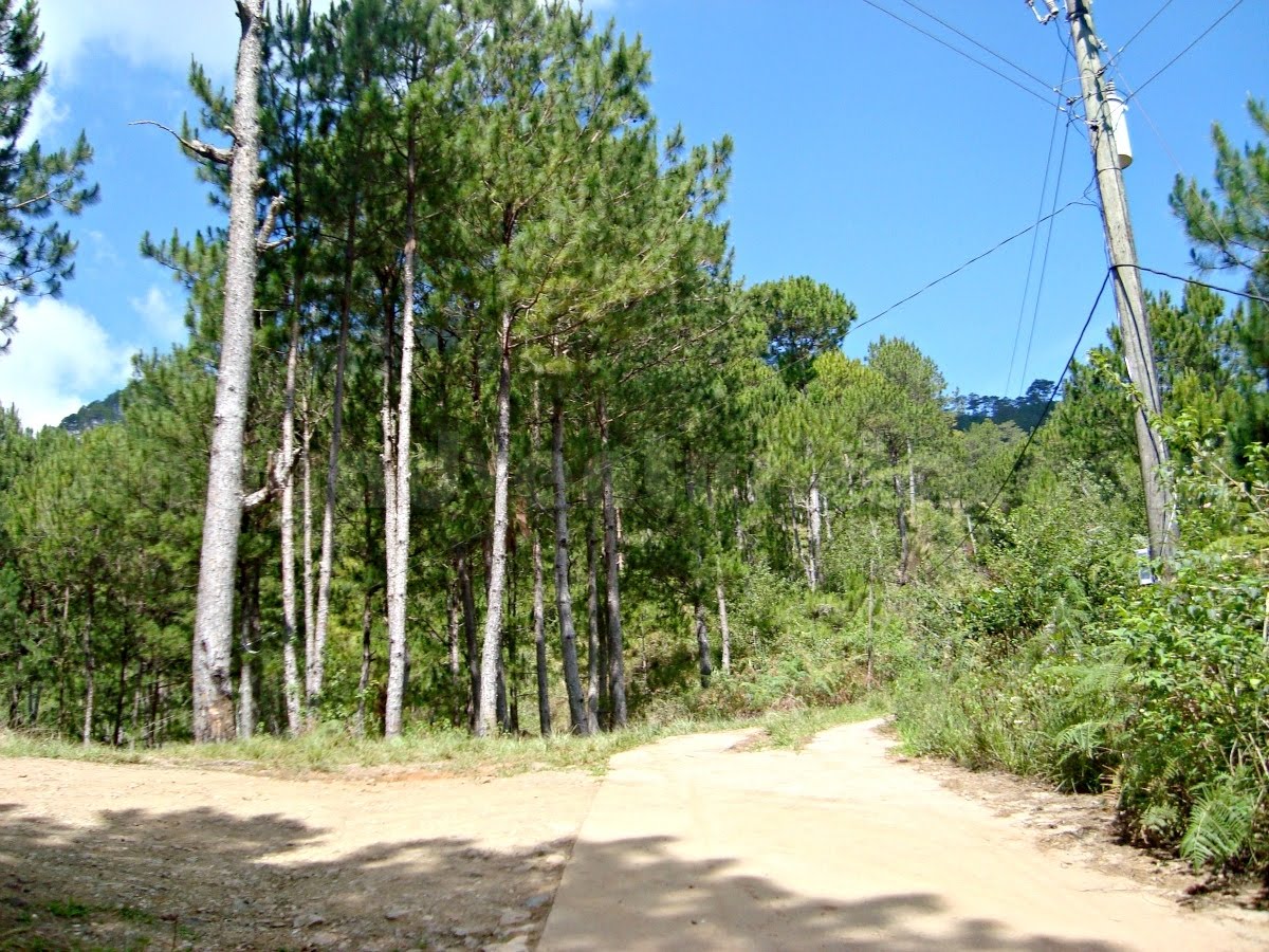 Mountain Province - Climbing Mt. Ampacao, the Highest Peak in Sagada ...