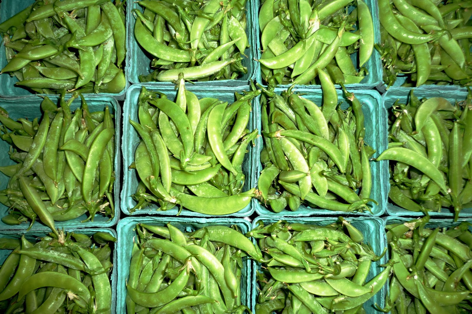 Alternative Roots Farm: July 2013