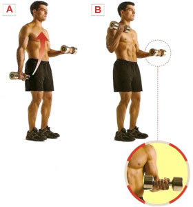 Rutina de bíceps extrema