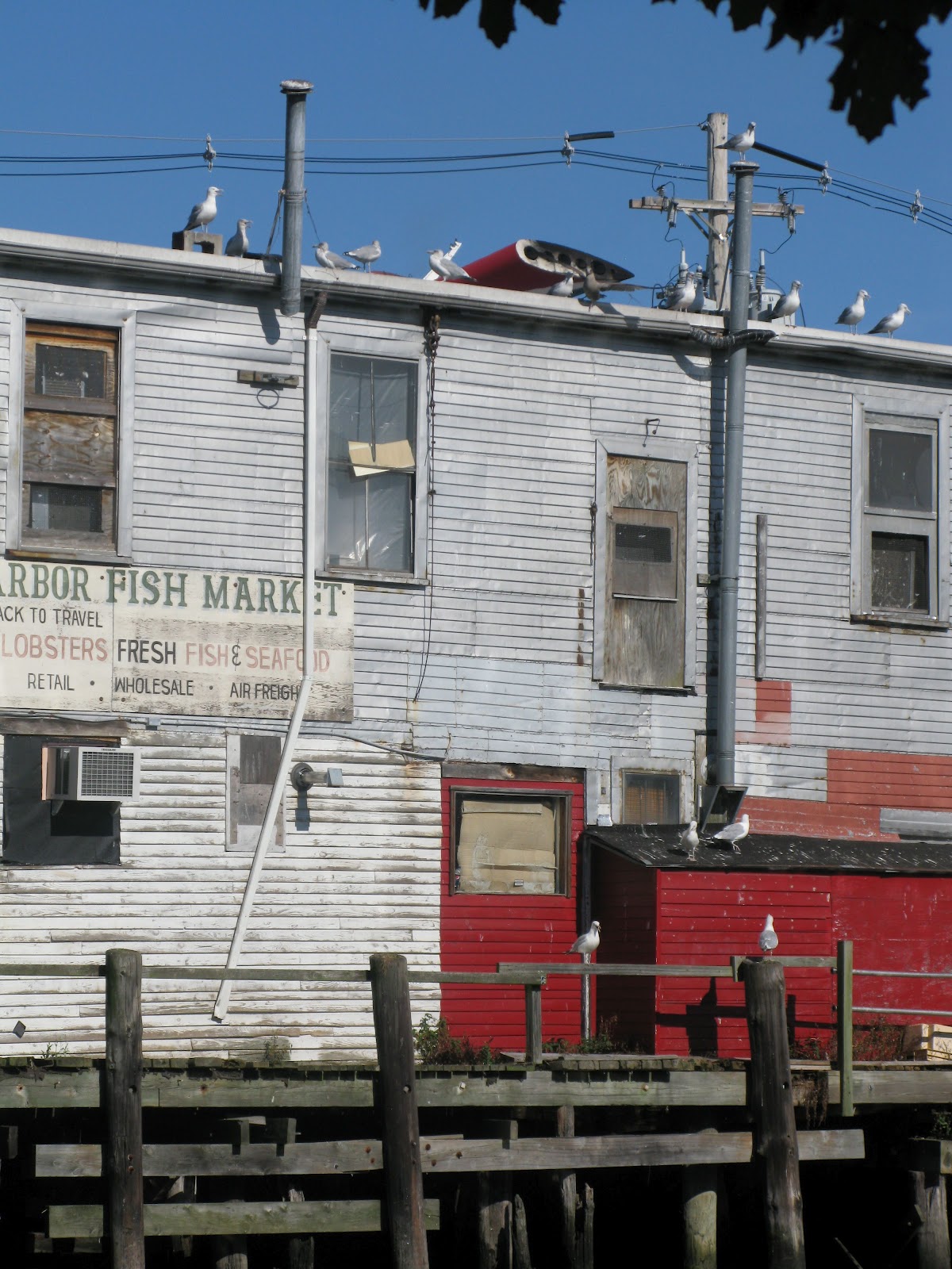 Postcards: Harbor Fish Market, Portland, Maine