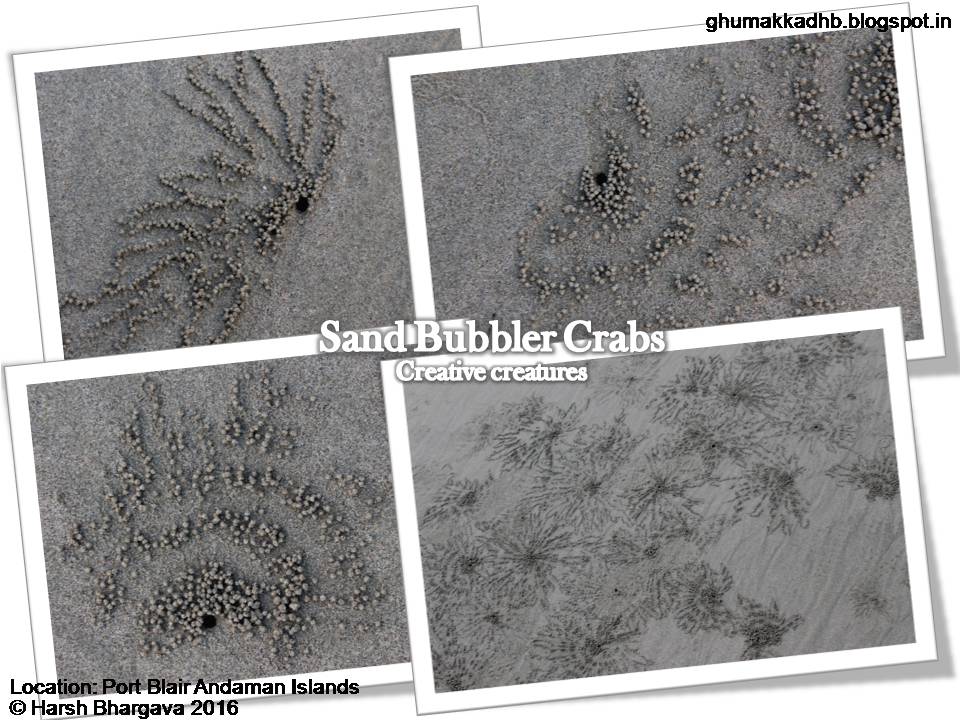 Ghumakkad Harsh: Kala Paani A place which gives you chills