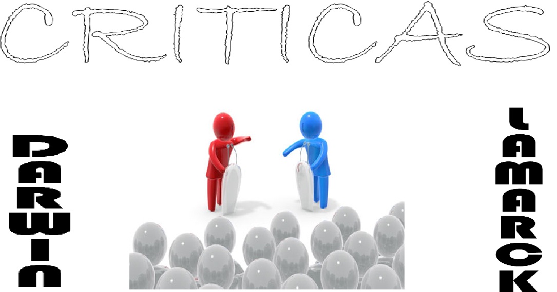 Critica | O JORNAL DA EVOLUÇÃO