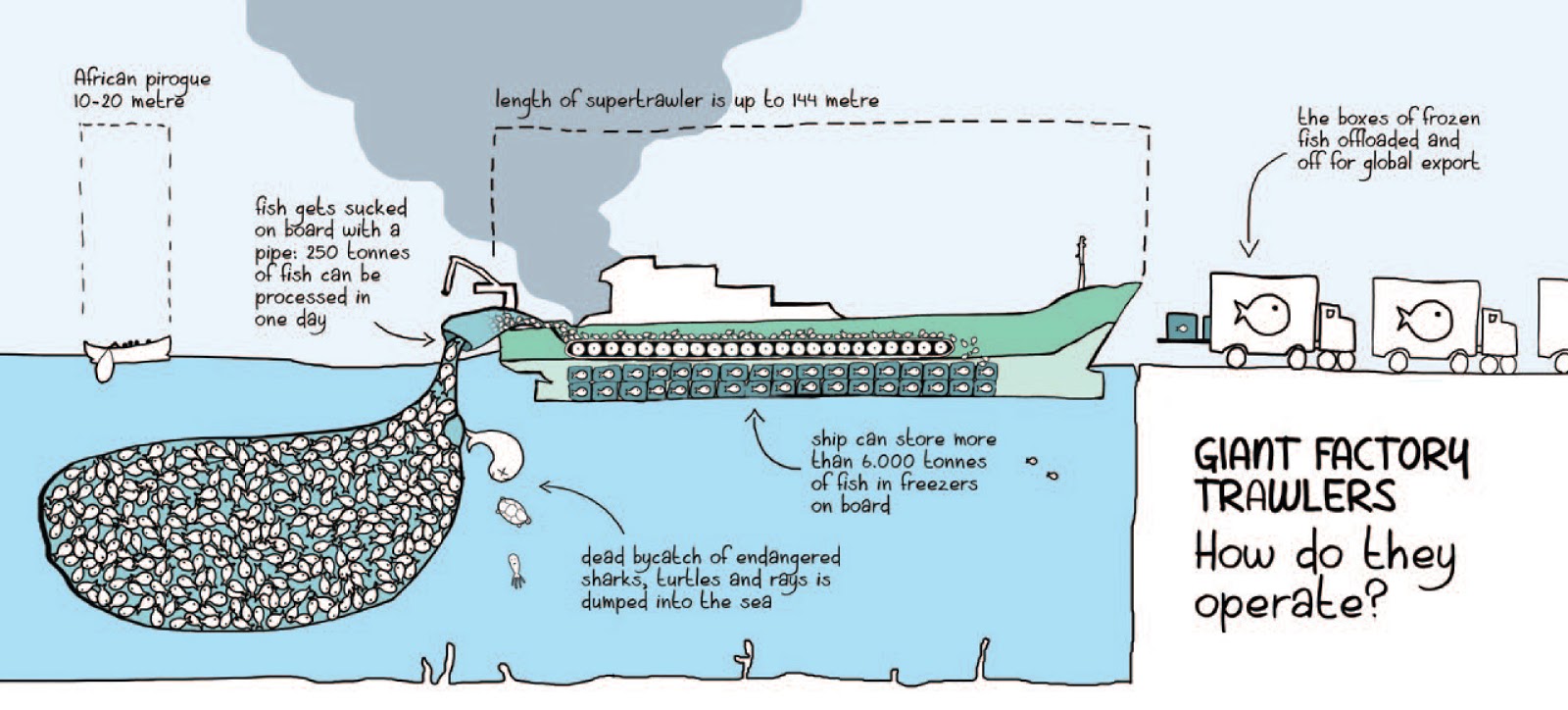 Our Great Australian Adventure...: Tuna...The Great Debate!