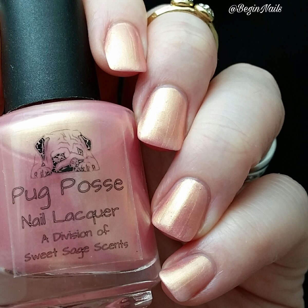 Let's Begin Nails: Pug Posse Nail Lacquer - Pug Love Collection Swatch ...