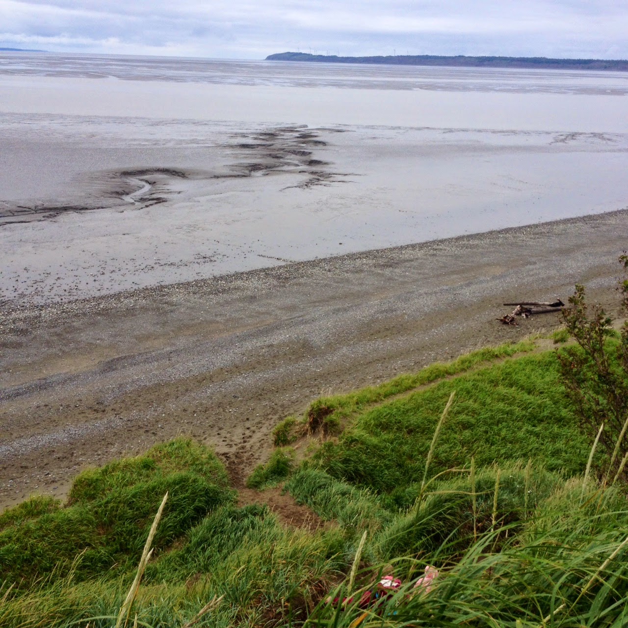 Muse Maria: Kincaid Beach