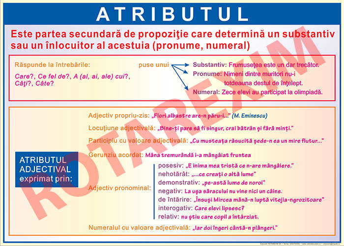 Învață limba română: Atributul