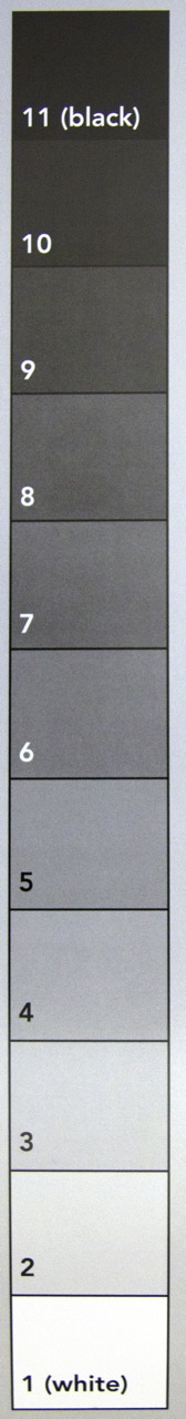 Terry Strickland Art: 7 Steps to Plaster Cast Painting For Artists