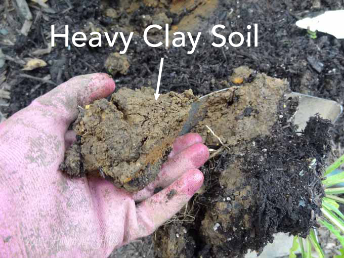 Harmony Hills Home and Garden: 3 Steps For Fixing Clay Soil