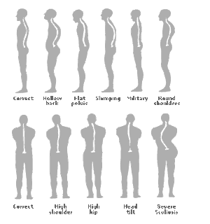 Muscle Activation: Posture & Stretching