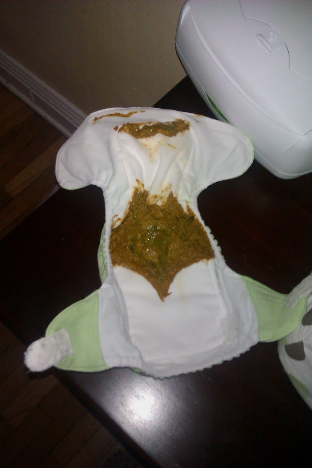 Little Froggy Feet: A Day In Cloth Diapers...