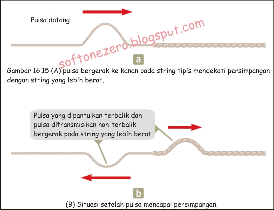 REFLEKSI DAN TRANSMISI - Sains Pedia