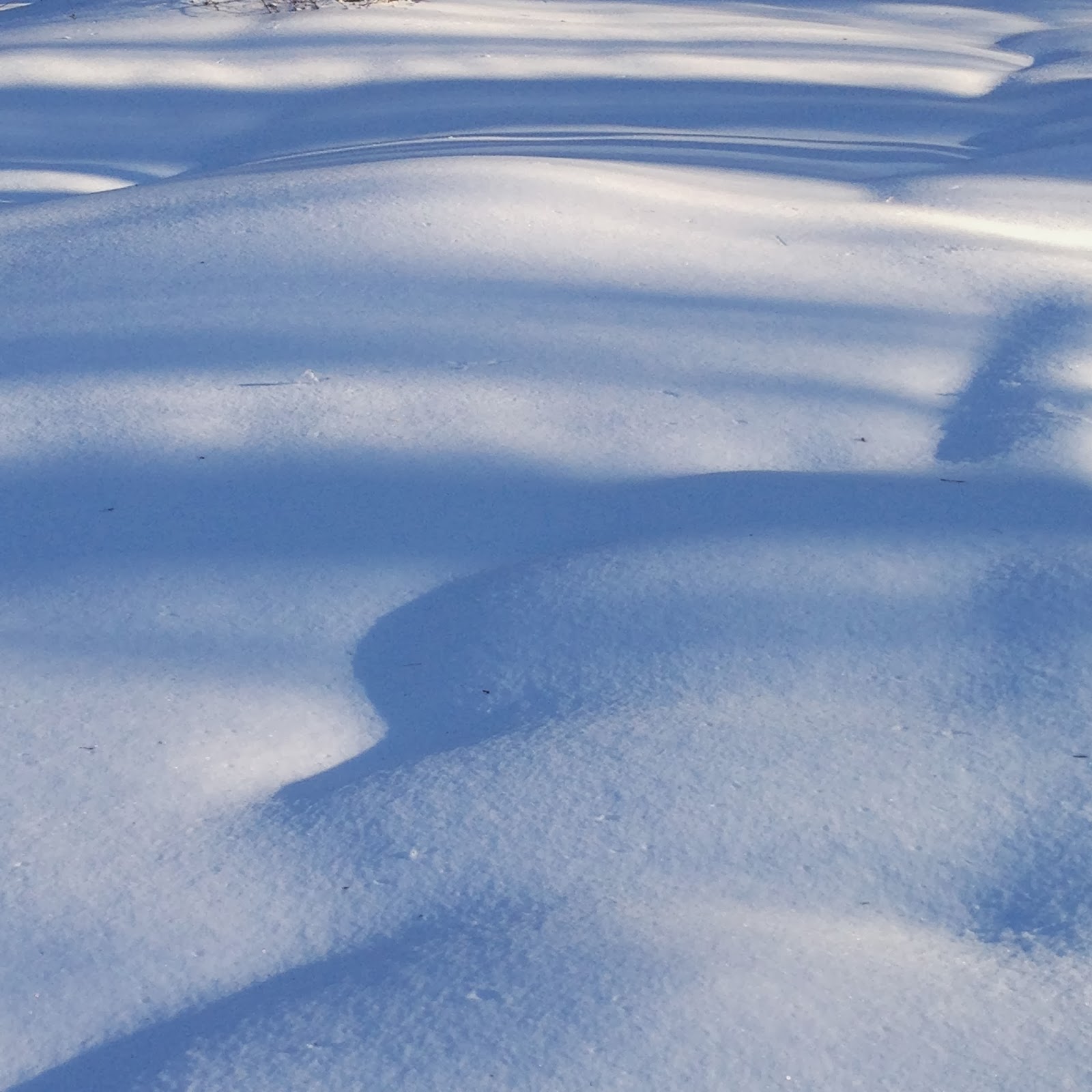 A Life Inspired by Nature: Abstract snow