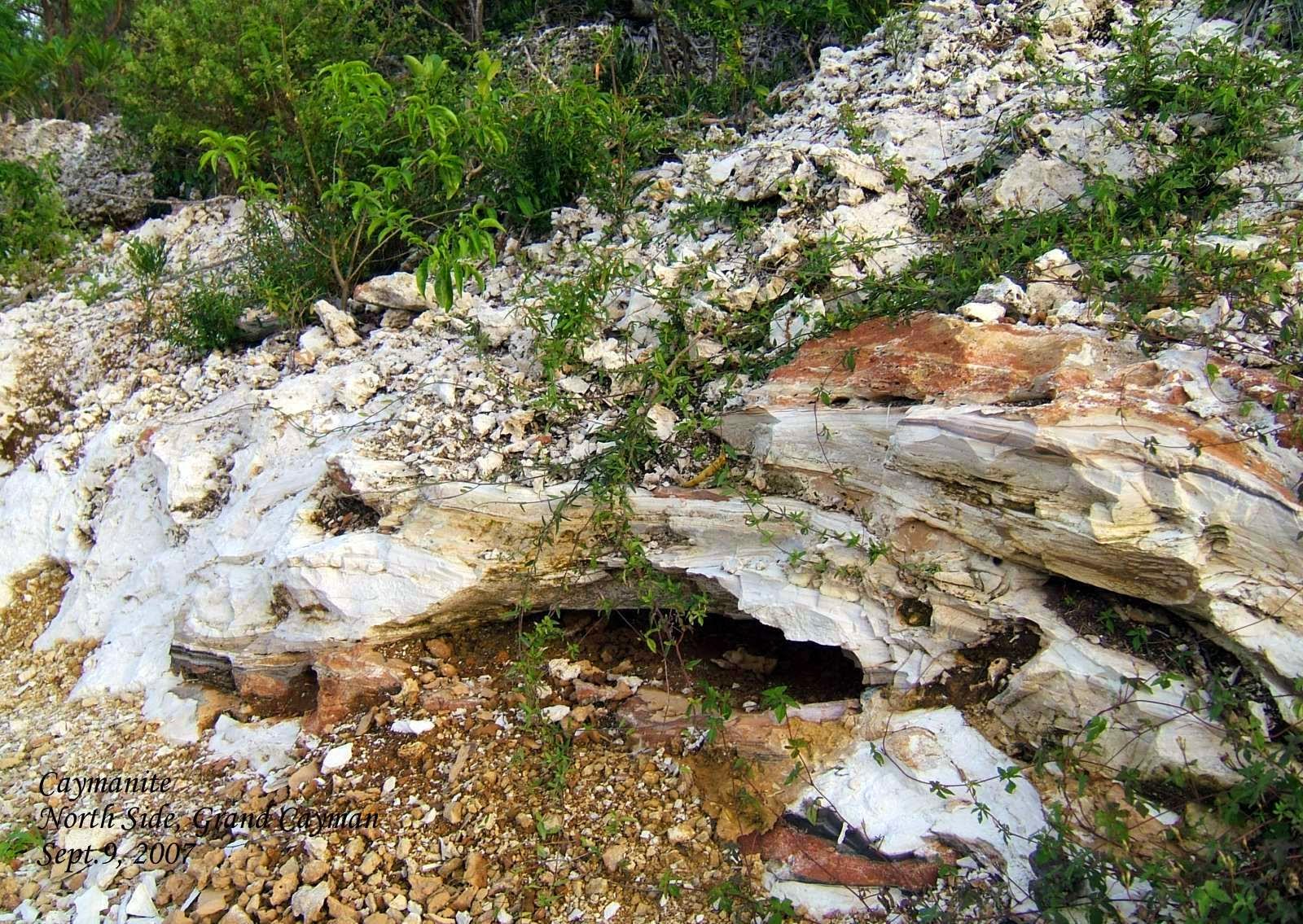 CaymANNature: Caymanite