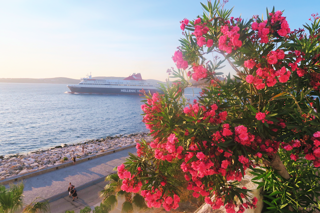 Paradise | Paros, Greece | Wanderlust Beauty Dreams