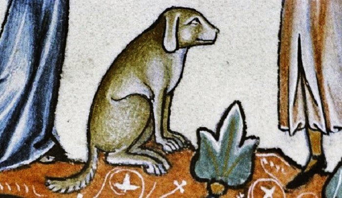 Feathers and Flowers: Medieval dogs