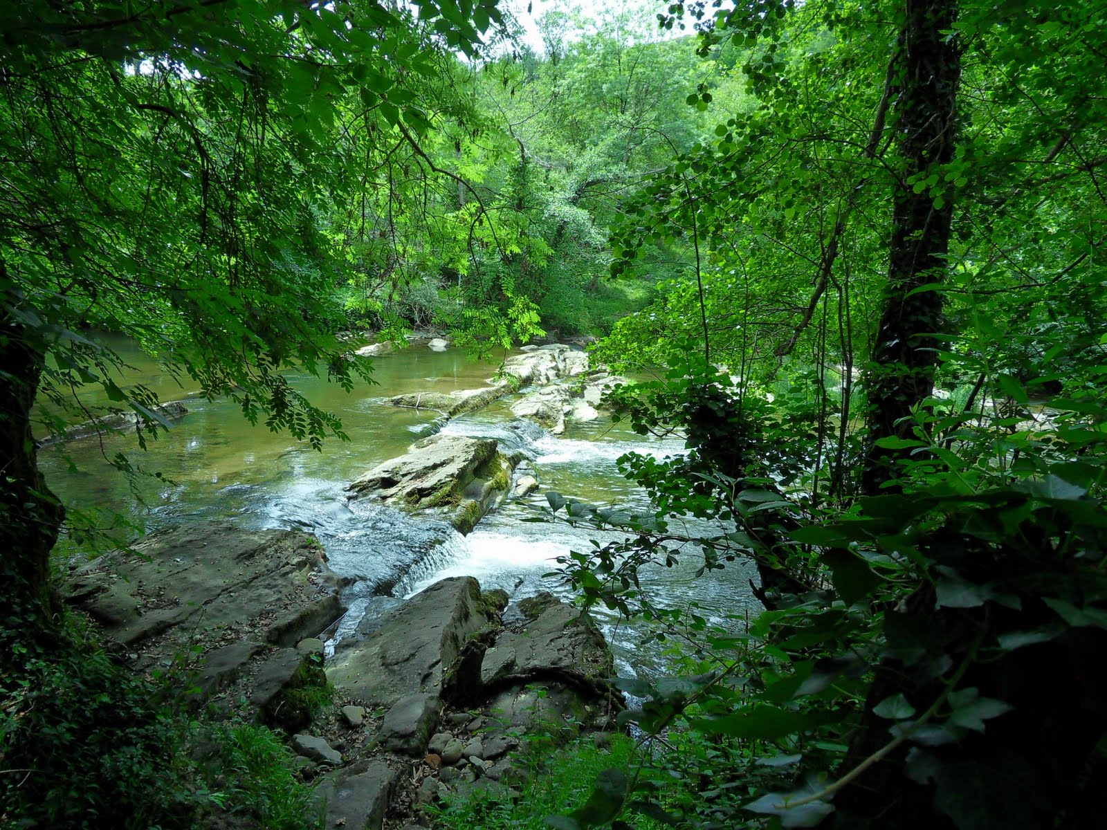 Ser Camino de Luz: Fluir con la vida