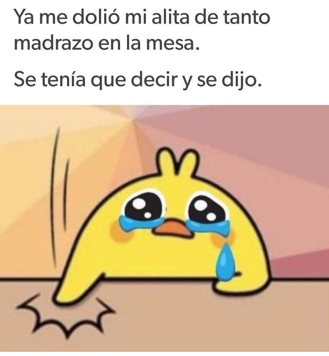 Memes Divertidos y chistes: memes divertidos