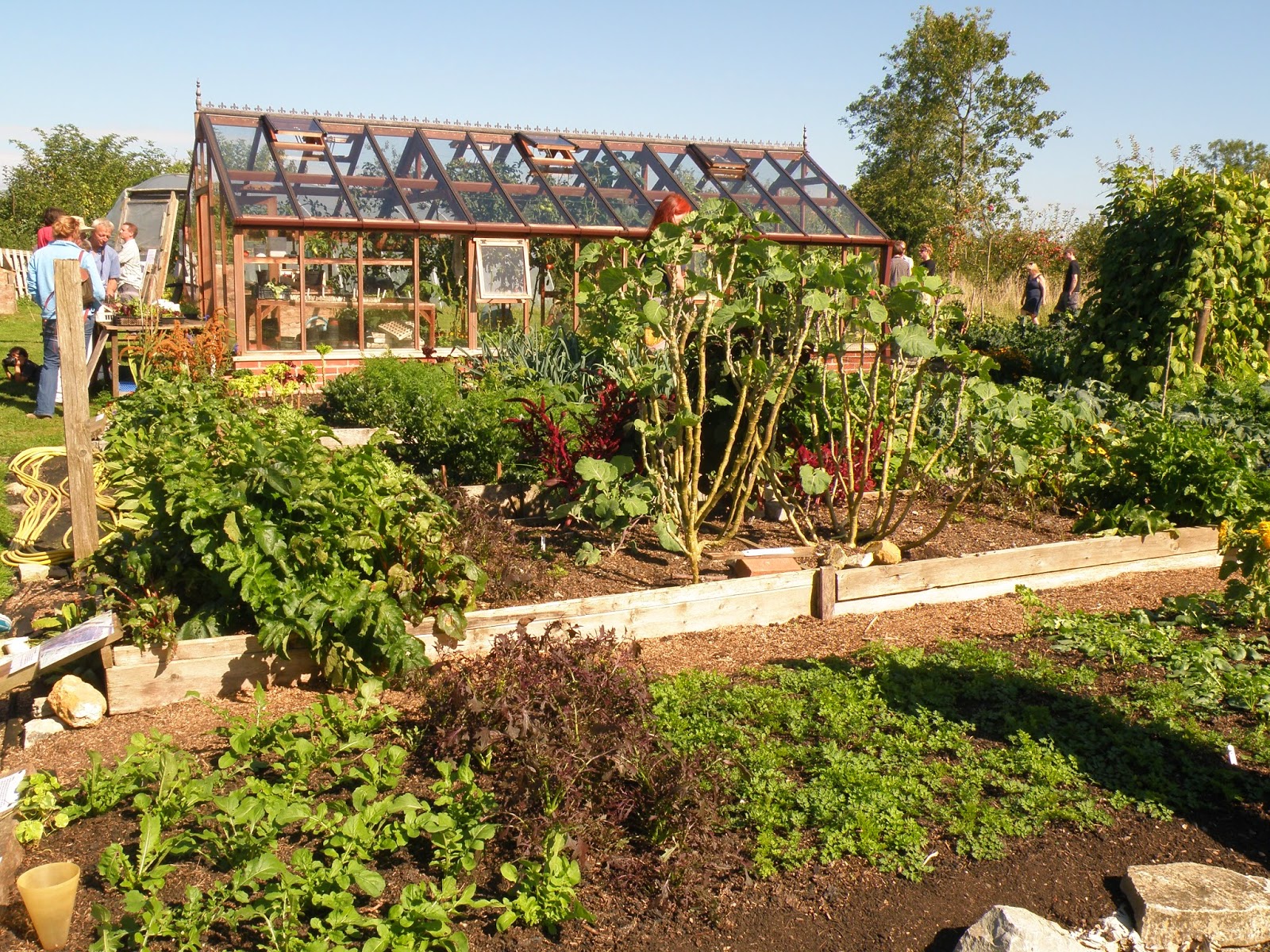 A Blog about Compost: Garden visit - Charles Dowding - Homeacres, Somerset