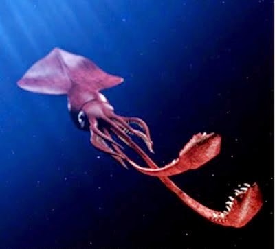 Curiosidades mundiais: Lula-Colossal