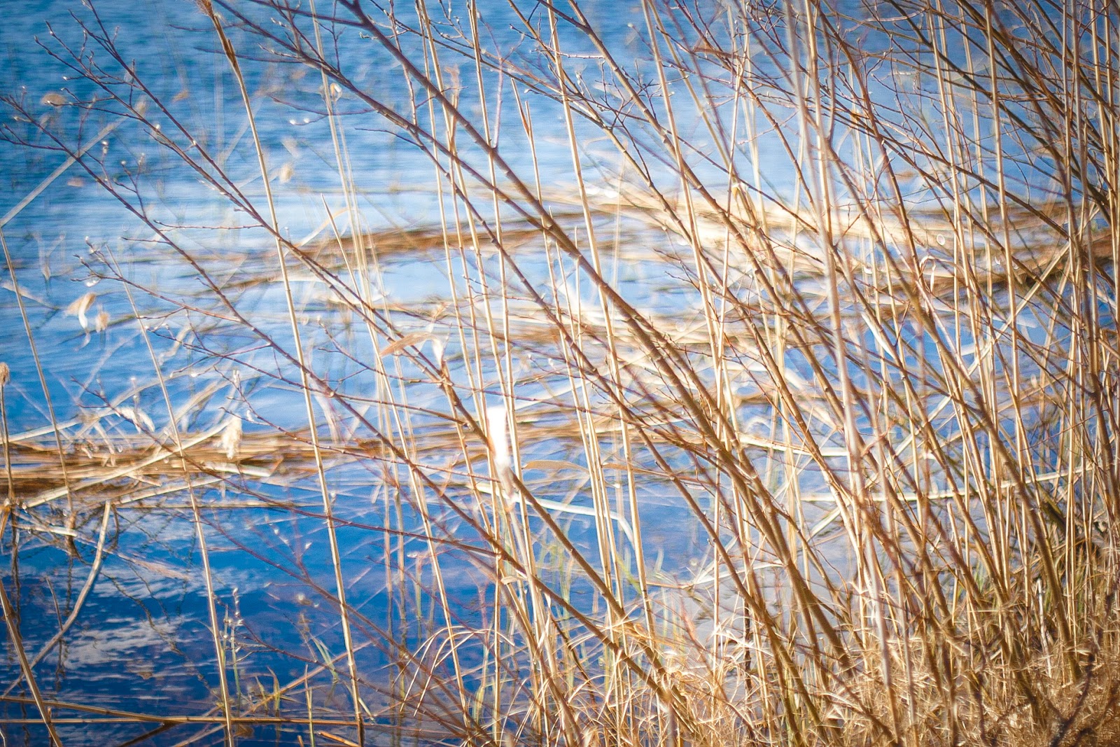 Finnworld: Talven turkit