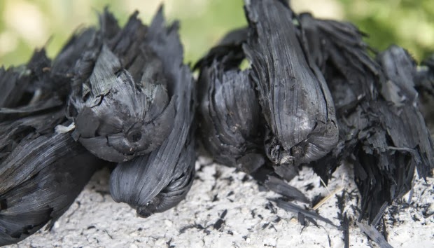 Biochar from charcoal production and recycling of agricultural and ...