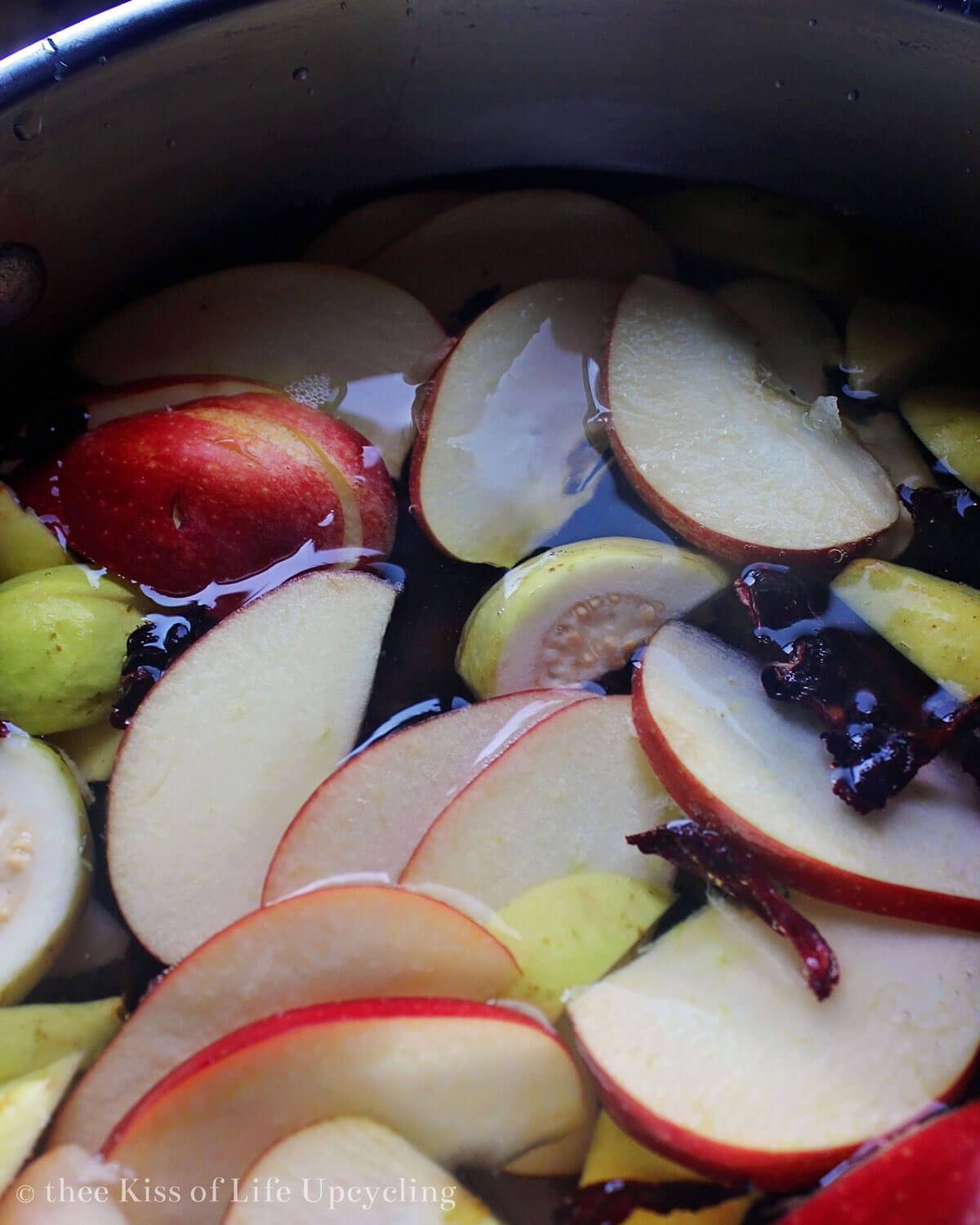 Ponche Caliente Navideño | Mexican Christmas Hot Fruit Punch | RECIPE ...