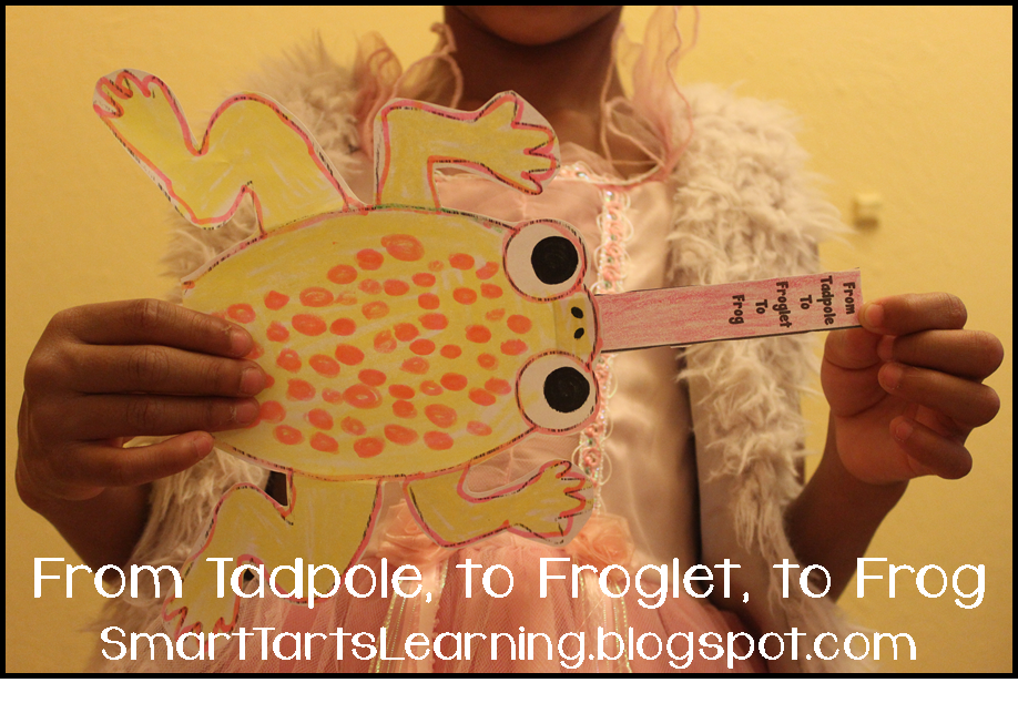 SmartTartsLearning: From Egg to Tadpole to Froglet to Frog... A ...