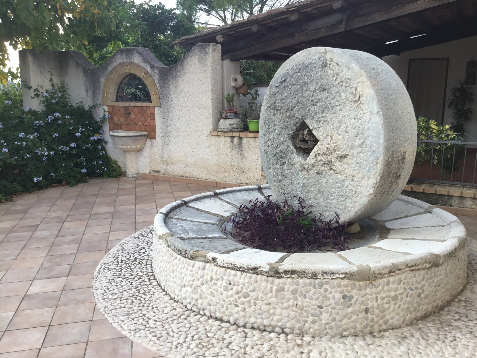 Trapani, una falce sul mare: La coltivazione dell'ulivo