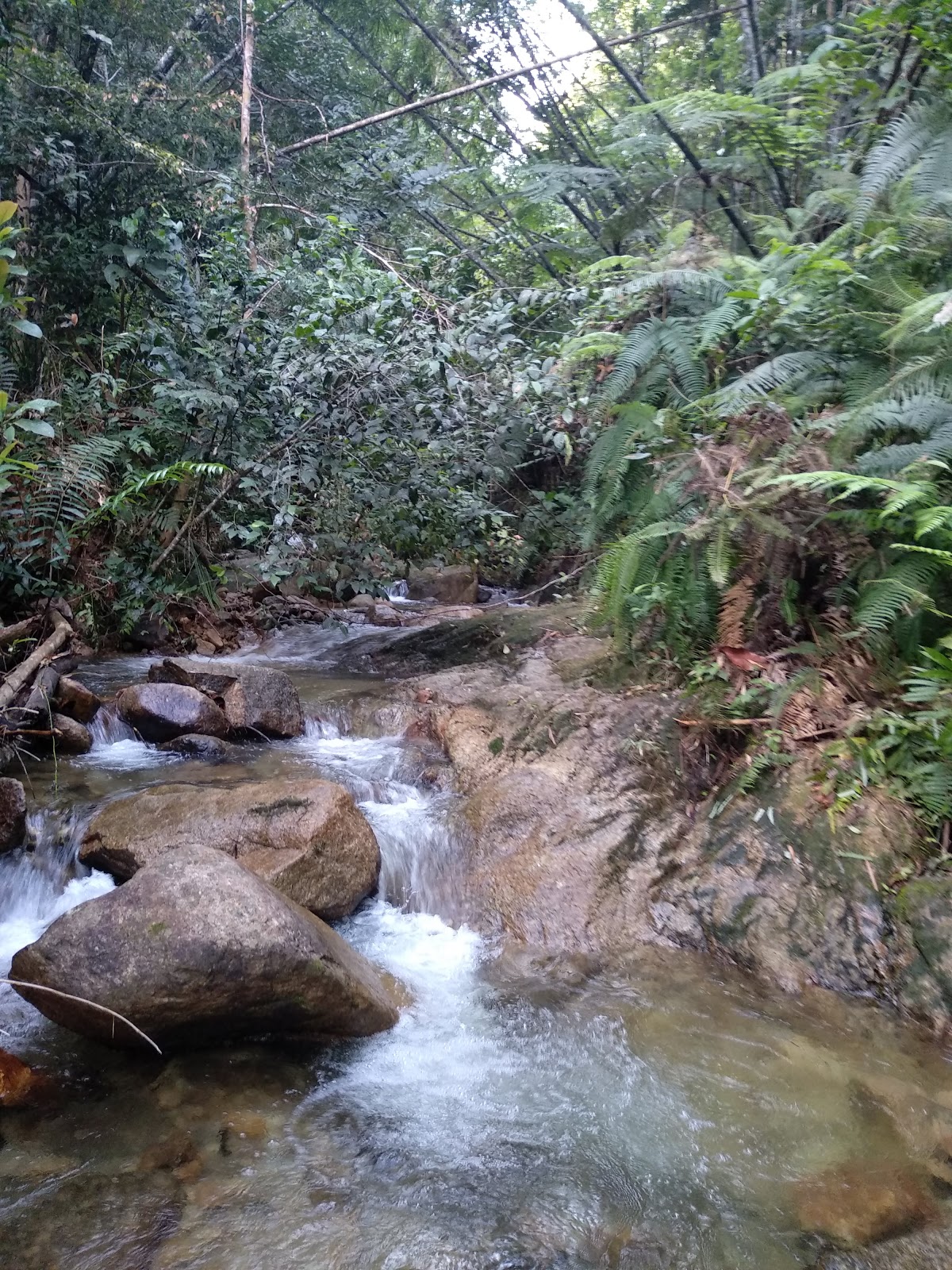 Live, where your heart finds life ツ: Gunung Rajah via KKB Daypack