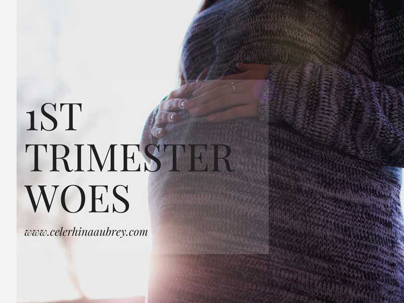 Pregnancy Update: 1st Trimester Woes - ReigningStill