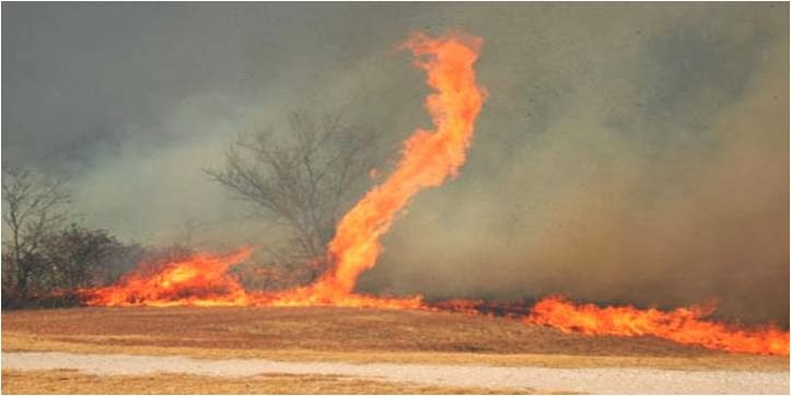 L'espoir de Printemps: FIRE WHIRL