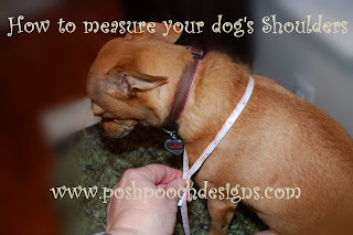 Posh Pooch Designs : Color Block Dog Shrug Knitting Pattern | Posh ...