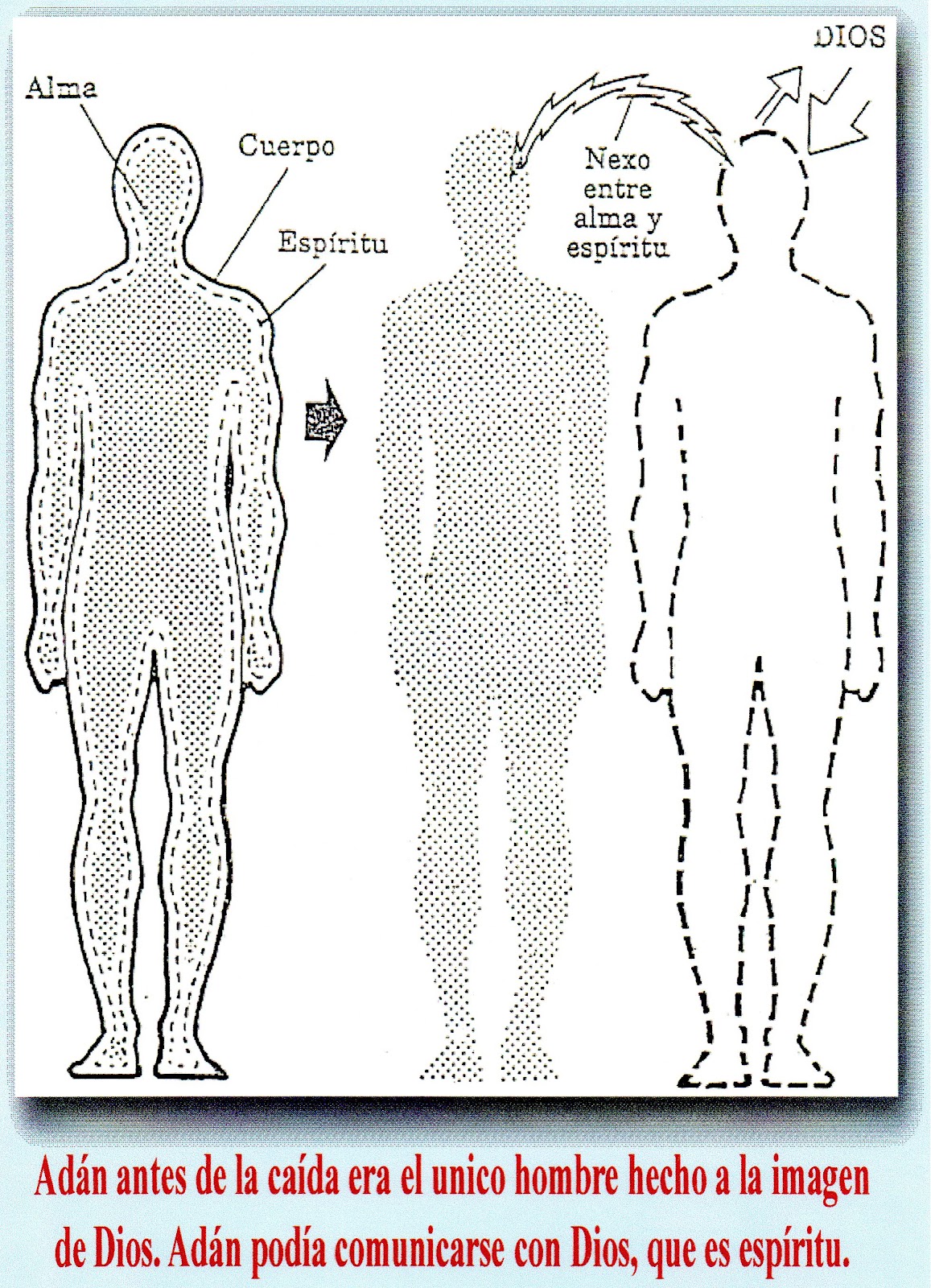 THE SERVANT OF GOD / EL SIERVO DE DIOS: EL HOMBRE ES UN SER TRIPARTITO
