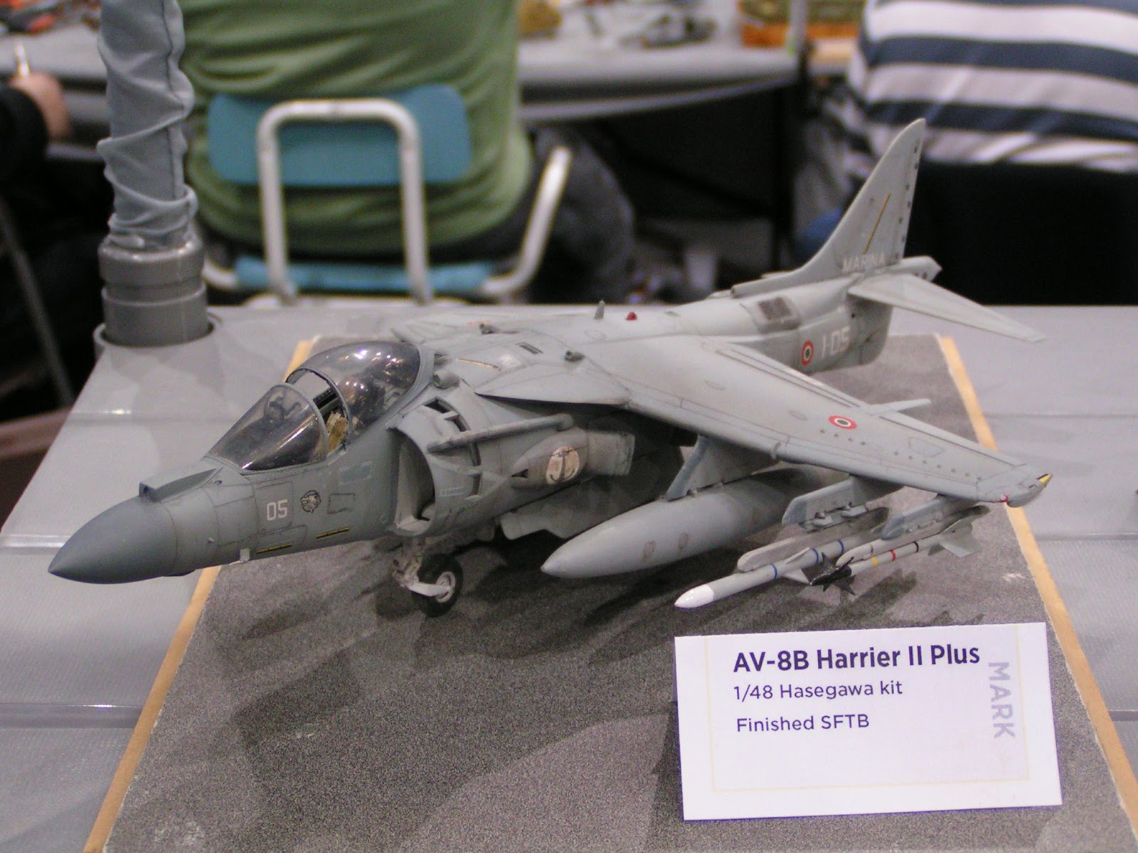 Dampf's modelling page: IPMS 2016 - Modern Aircraft