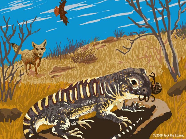 Man, Myth and Magic: Creation Mythology: Native America - California