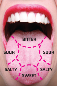 Dental Mnemonics: Location of Taste Buds