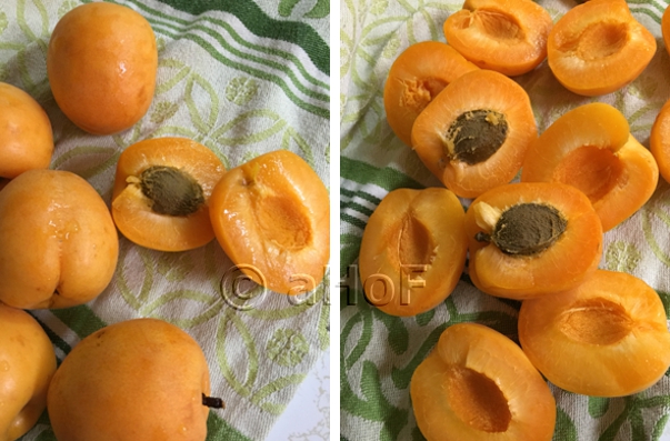 A Harmony of Flavors: Rhubarb and Apricots and a Rustic Tart