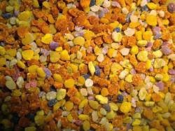 Kuzhine - Receta: Poleni i bletes