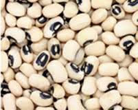 Superalimentos y cultivos alternativos: Caupí o carilla